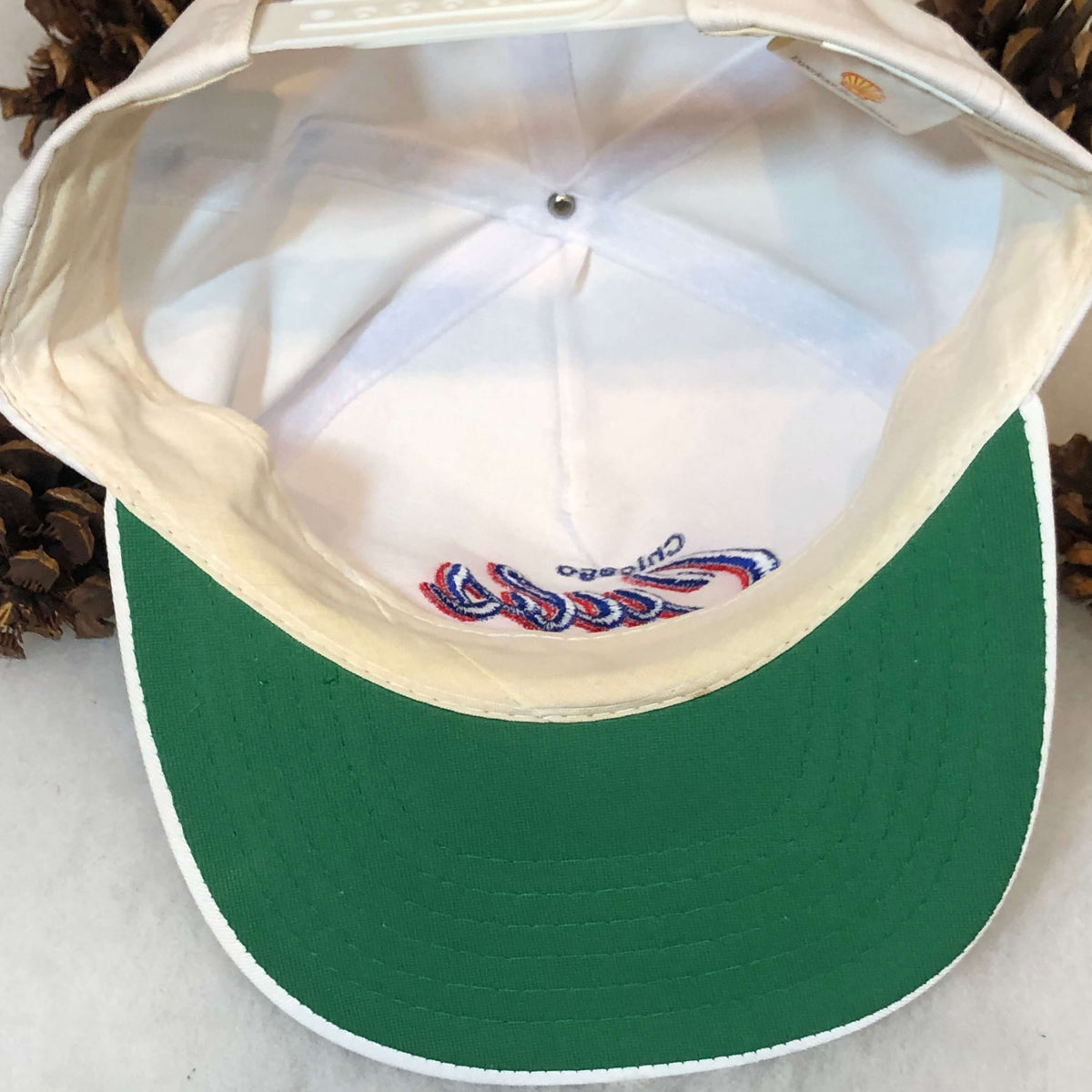 Vintage 1989 MLB Chicago Cubs Eastern Division Champions Snapback Hat ...