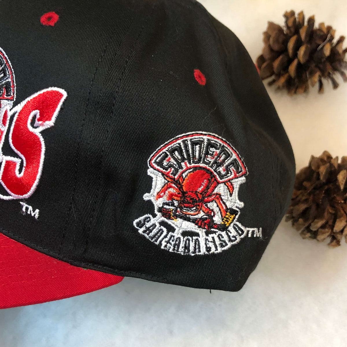 Vintage NWT IHL San Francisco Spiders The G Cap Wave Snapback Hat – 🎅 ...