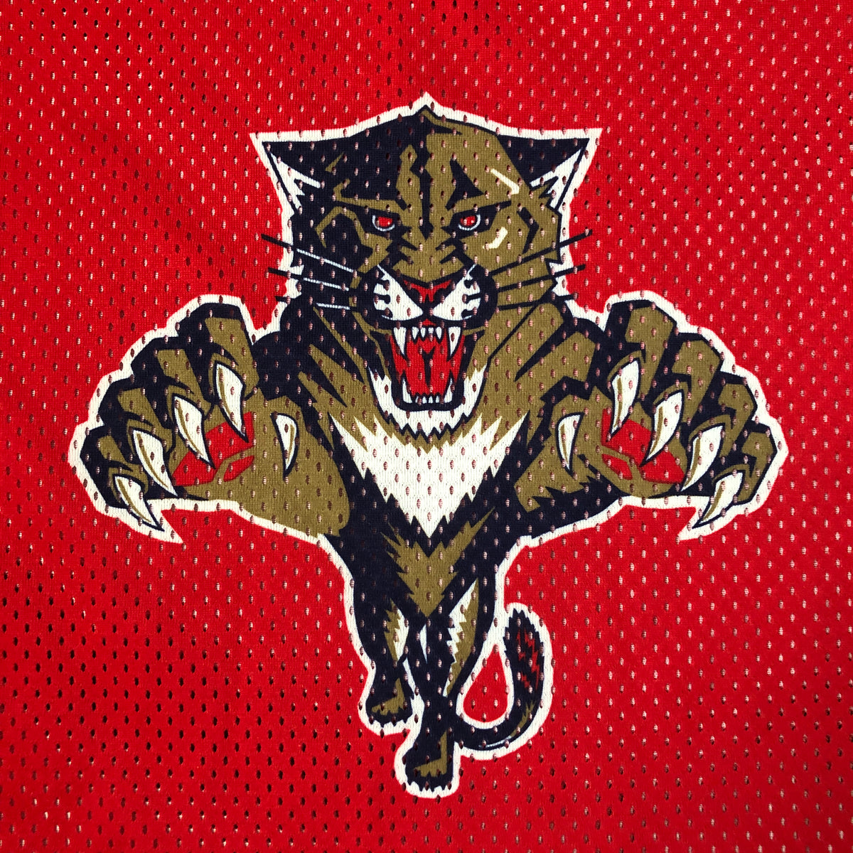 Vintage 90s NHL Florida Panthers Hockey CCM Mesh Jersey (L) – 🎅 Bad Santa