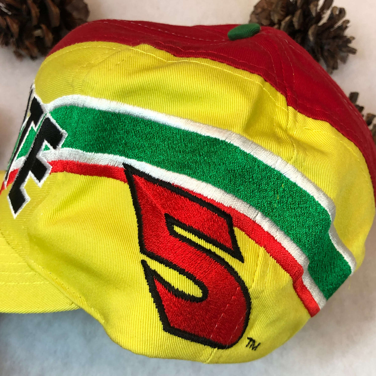 Vintage NASCAR Terry Labonte Kellogg's Corn Flakes Twill Snapback Hat ...